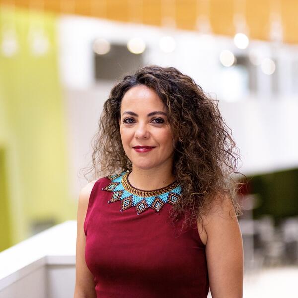 Neville Austin Graduate Colloquium Series | Ana Alonso-Minutti (University of New Mexico) | U of ...